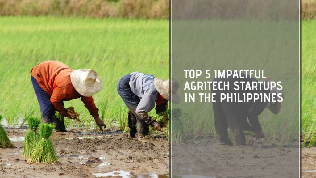 Top 5 impactful agritech startups in the Philippines - Tech Collective